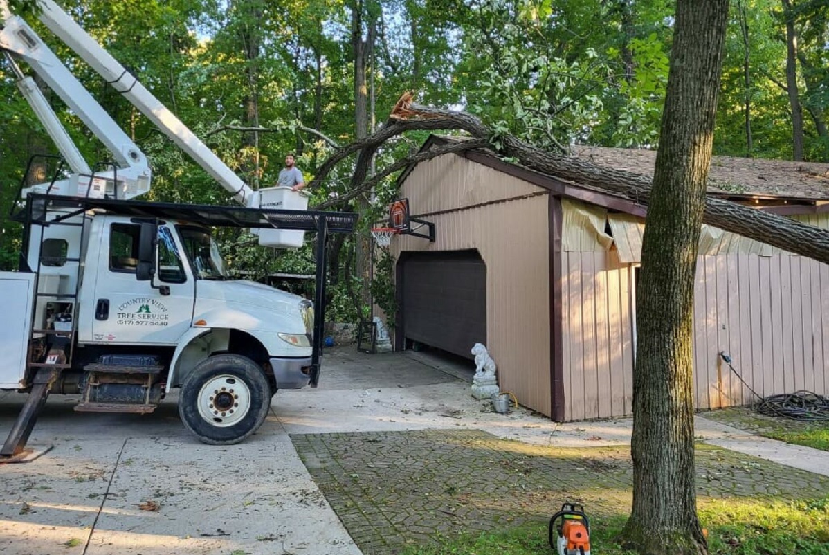 Country View Tree Service | Tree Removal Company Howell MI